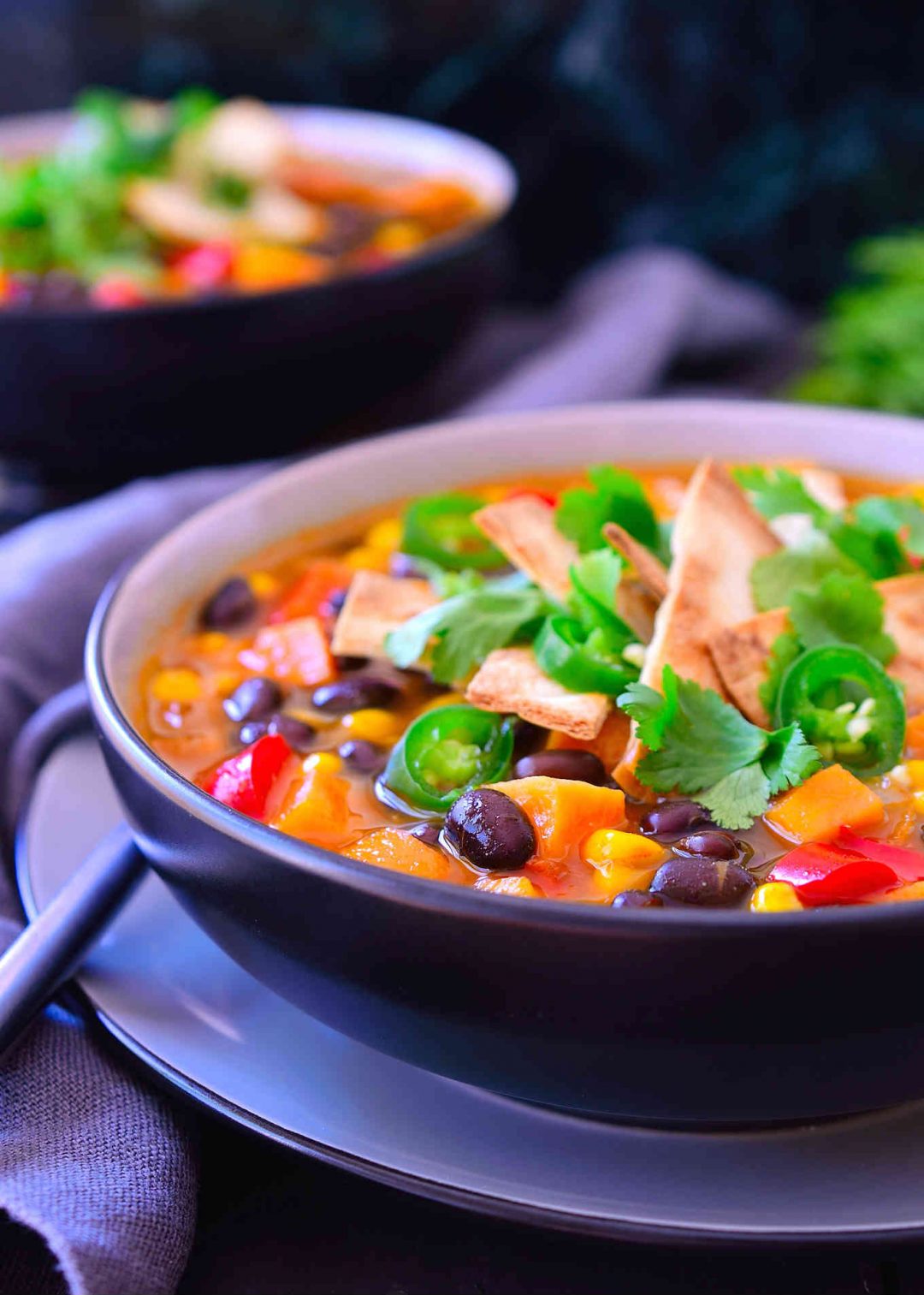 Sopa de Enchilada Vegana - Cilantro and Citronella
