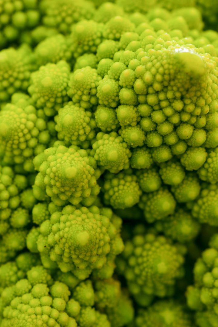 Roasted Romanesco with Romesco Sauce - Cilantro and Citronella