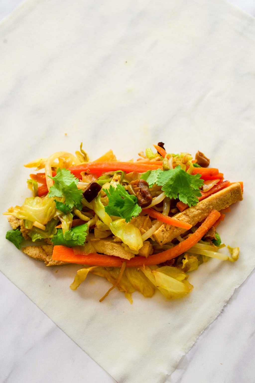 Vegetable Spring Rolls - Cilantro and Citronella