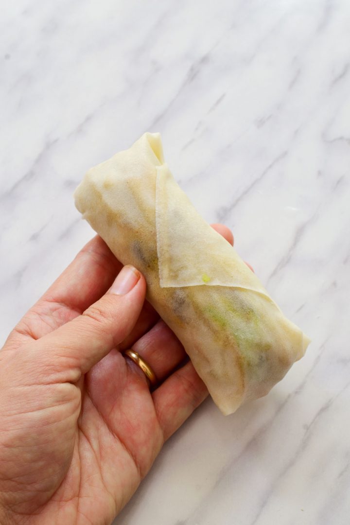 Vegetable Spring Rolls - Cilantro and Citronella