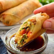 Vegetable Spring Rolls - Cilantro and Citronella